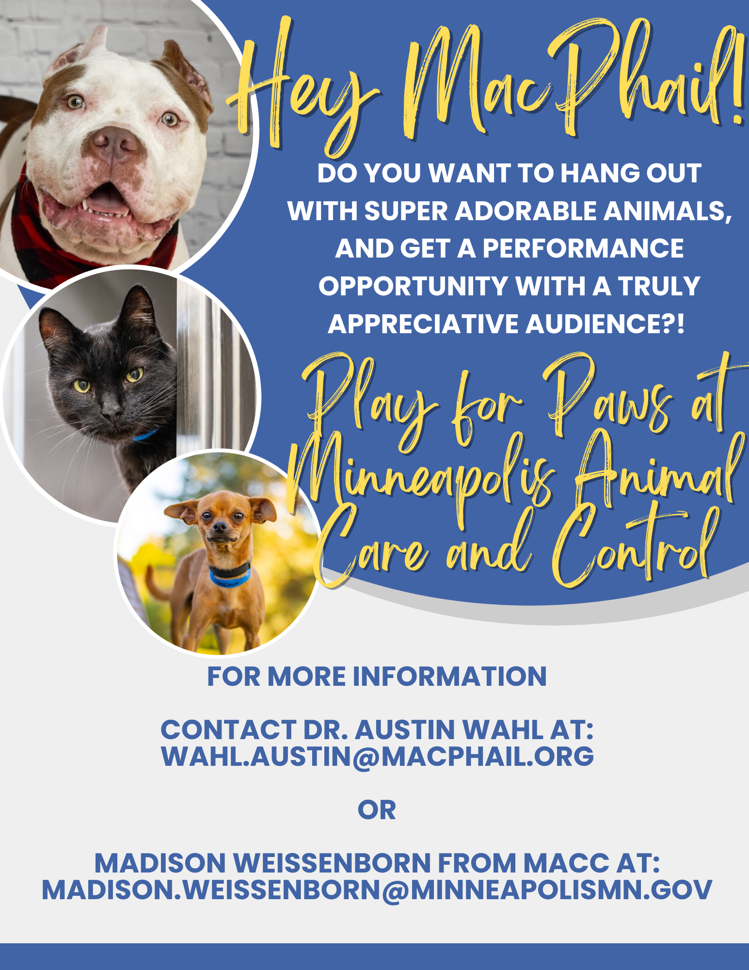 Play for Paws! - MacPhail